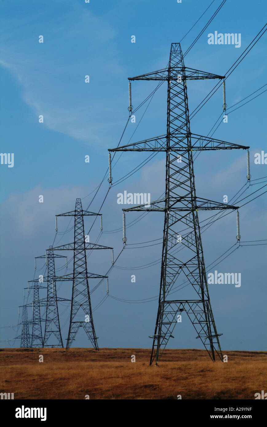 line of pylons Stock Photo - Alamy