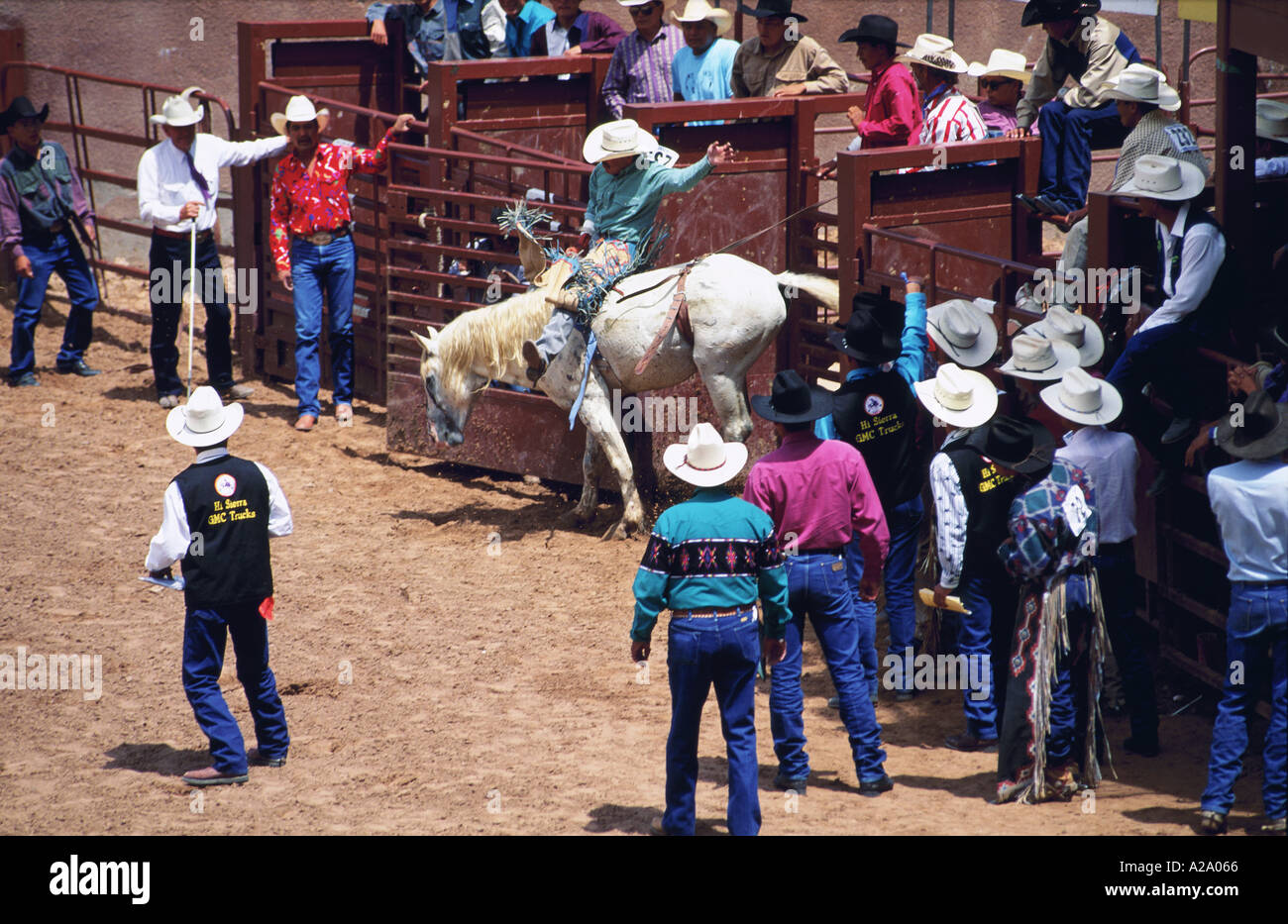 Bucking broncos hi-res stock photography and images - Alamy