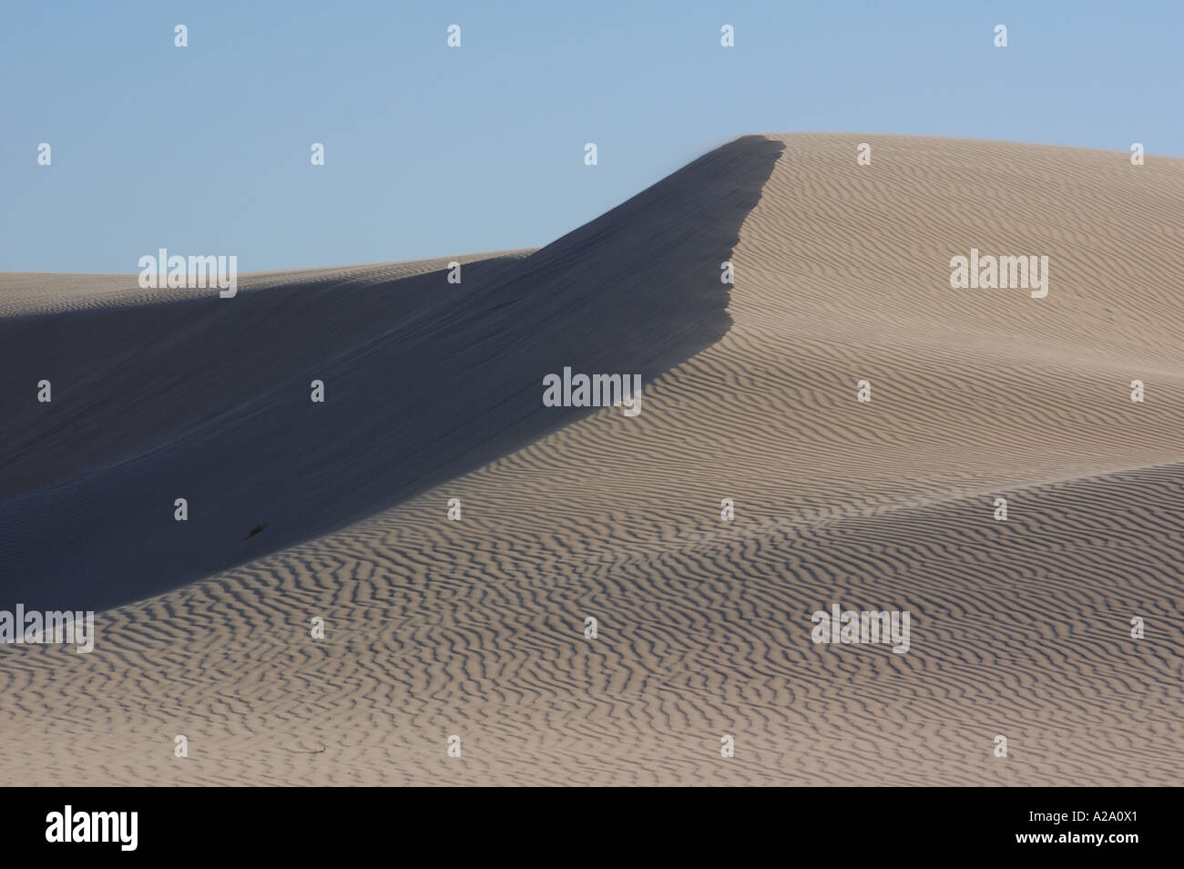 Oceano Sand Dunes Stock Photo - Alamy