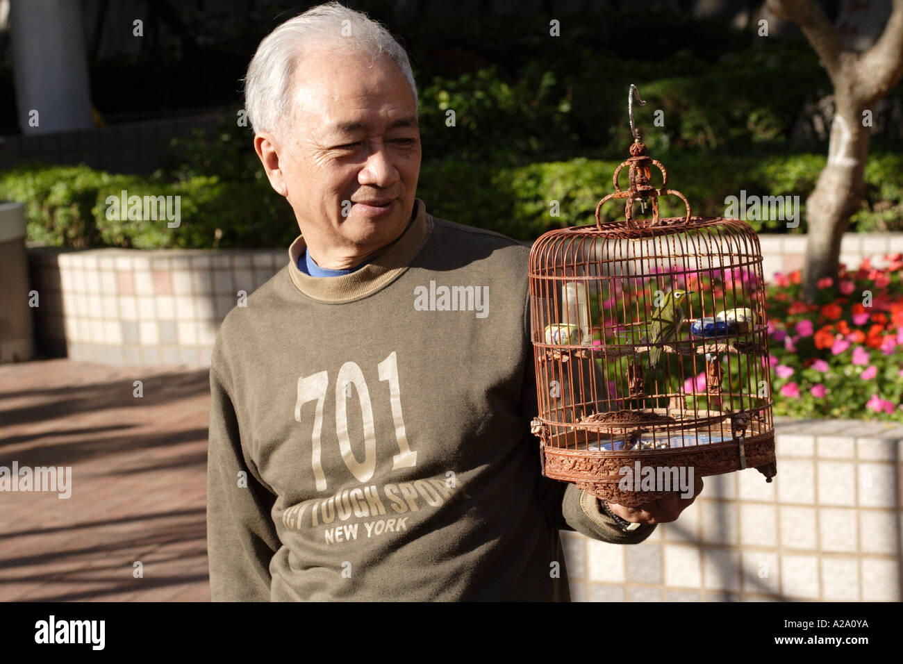 Man with his pet bird, Hong Kong Stock Photo - Alamy