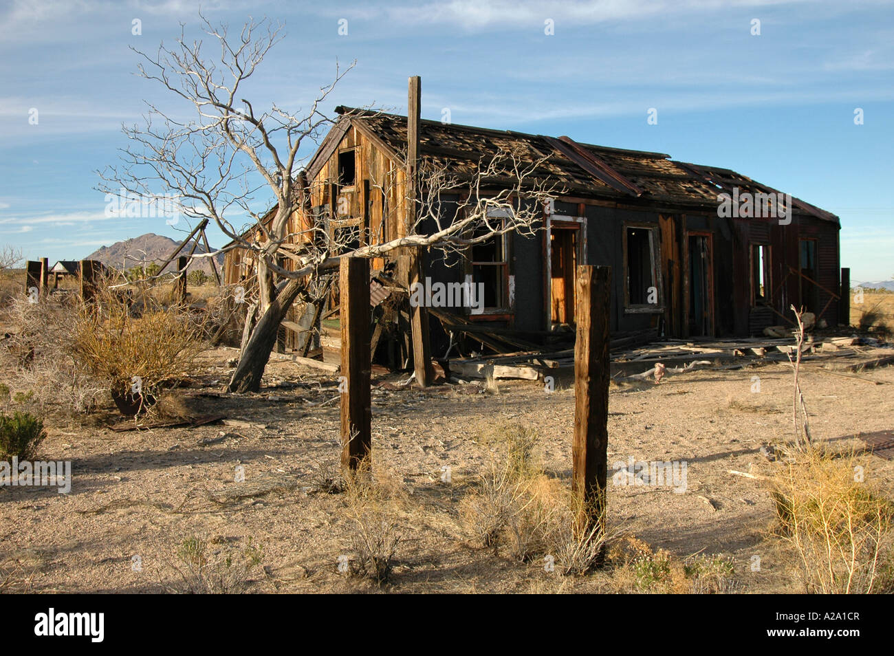 Cima california hi-res stock photography and images - Alamy