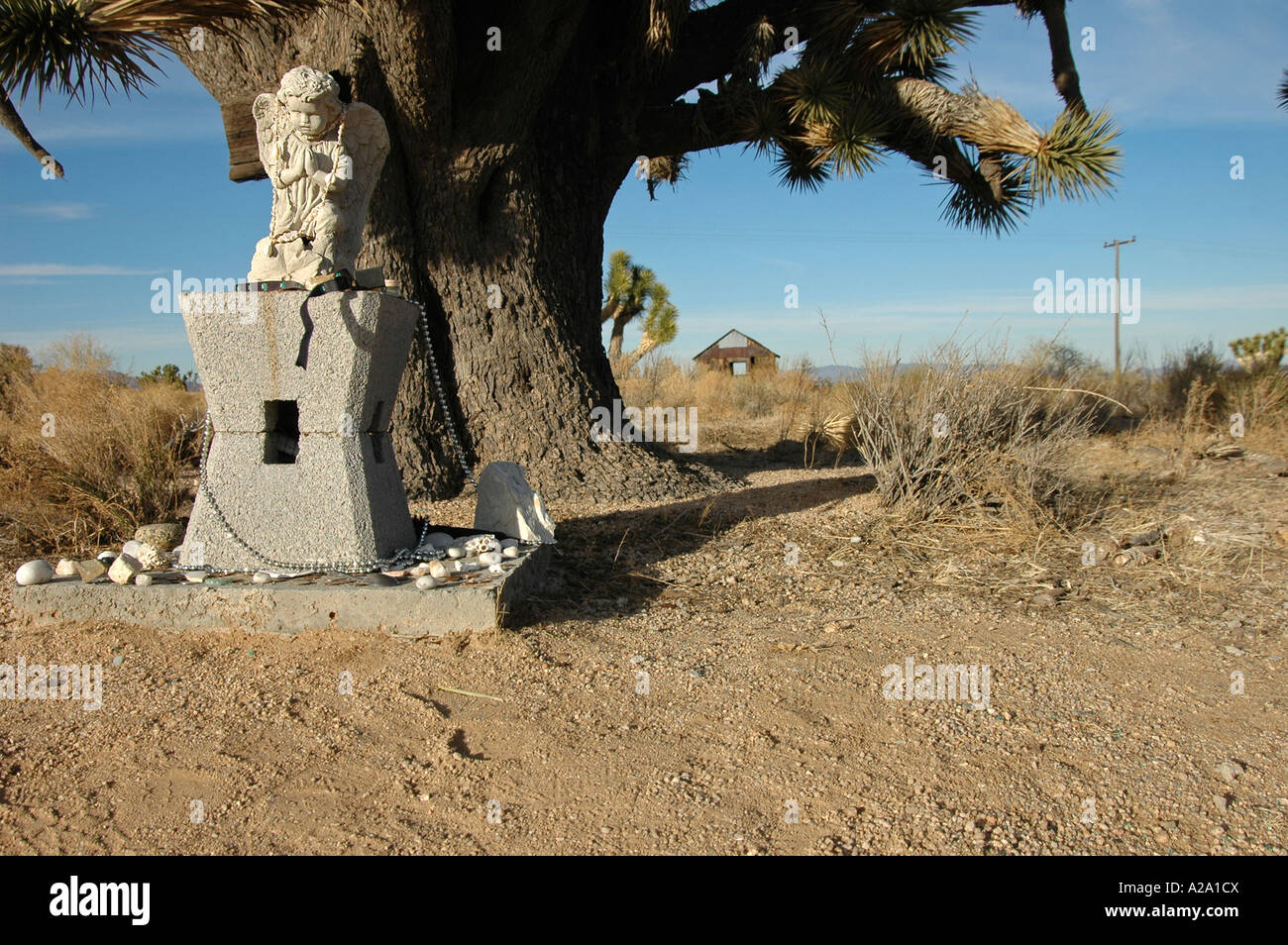 Cima california hi-res stock photography and images - Alamy