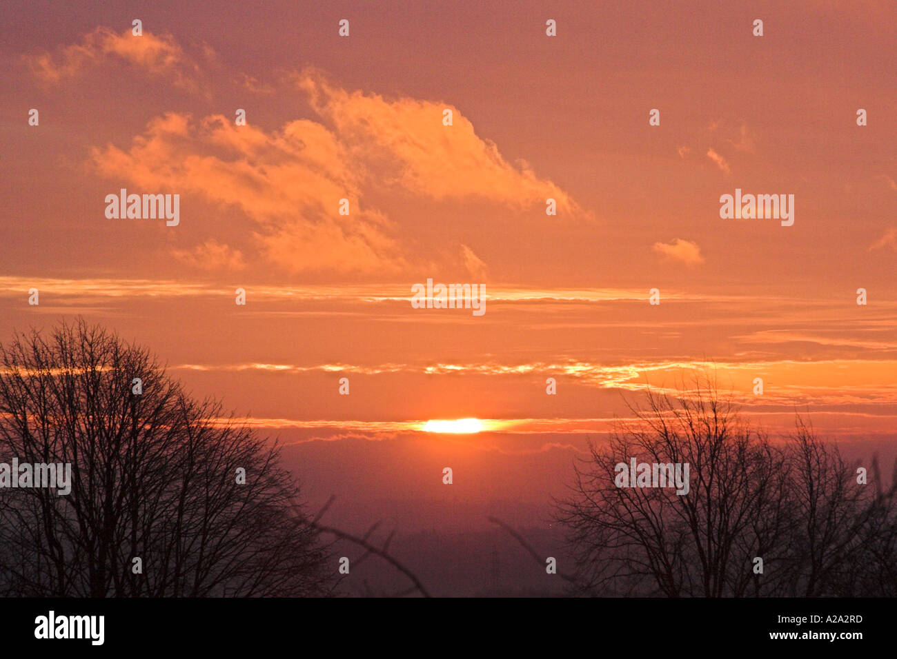 Sun peeking through bushes hi-res stock photography and images - Alamy