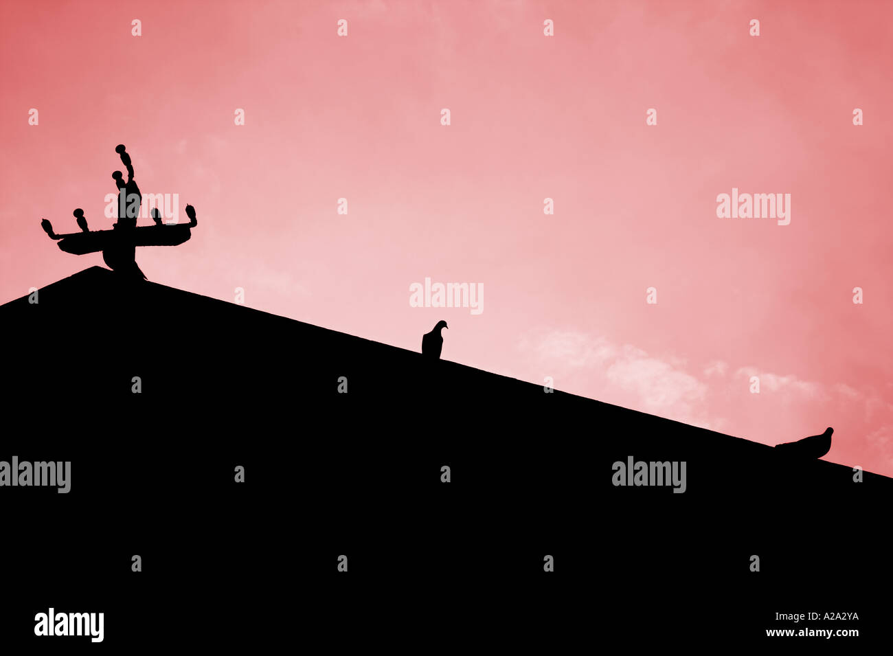 Birds on a church roof Stock Photo - Alamy