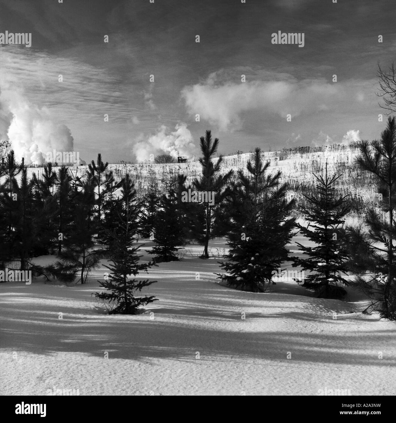 Fish frozen ice Black and White Stock Photos & Images - Alamy