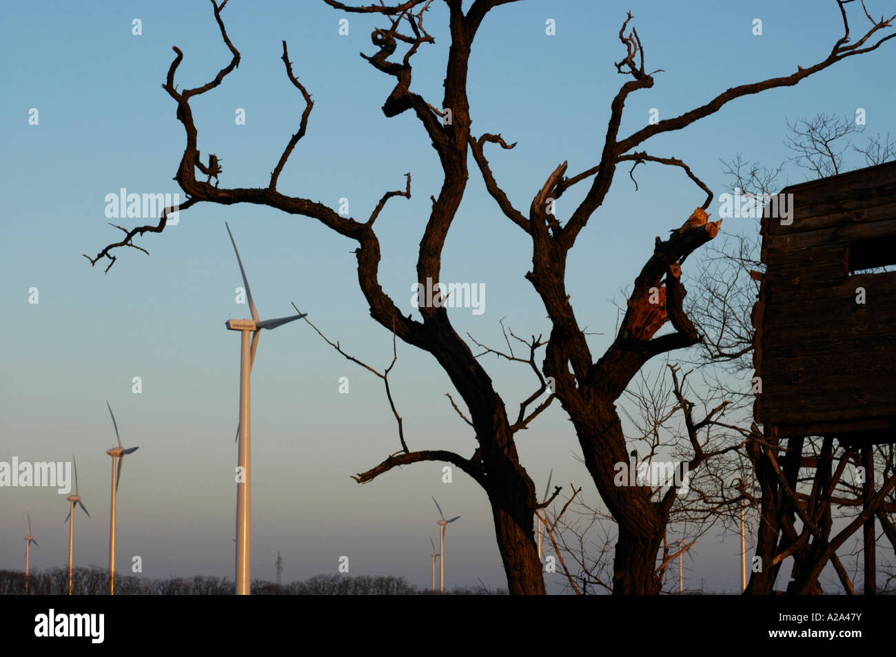 Dead Trees Wind Energy Plant Wind Turbine High Resolution Stock ...
