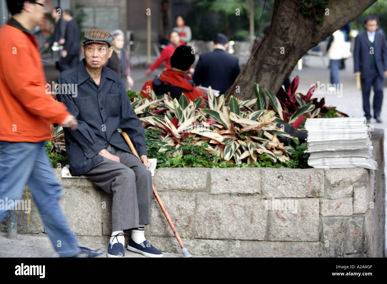 Old Chinese Man Walking Stick High Resolution Stock Photography and ...