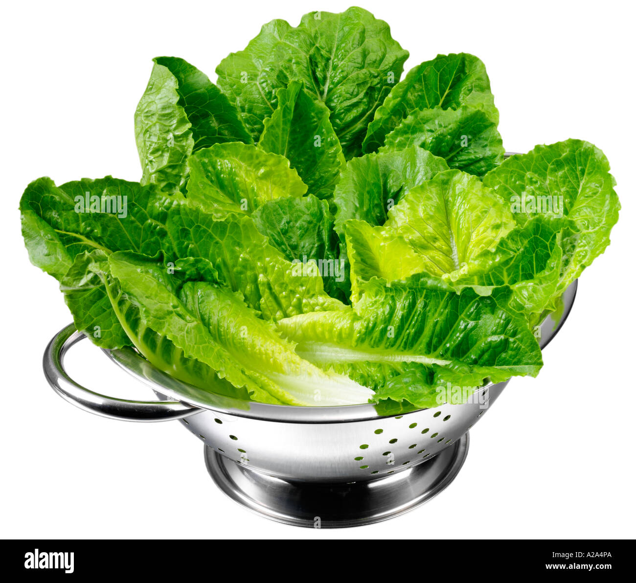 LETTUCE IN COLLANDER CUT OUT Stock Photo - Alamy