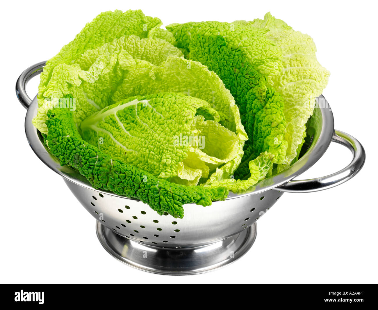 CABBAGE IN COLLANDER CUT OUT Stock Photo - Alamy