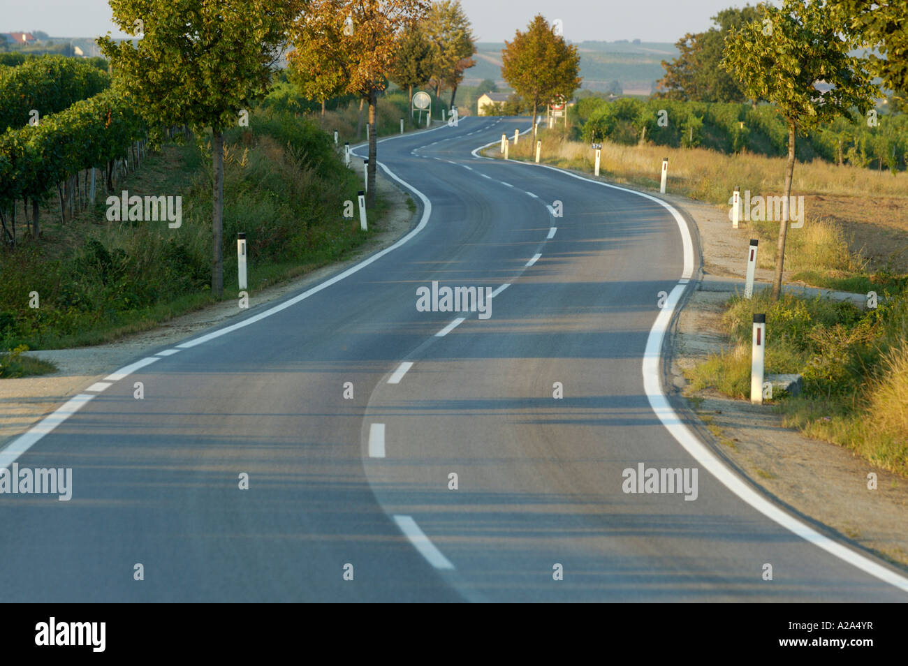 countryside highway with turn, line management, double S curve Stock ...
