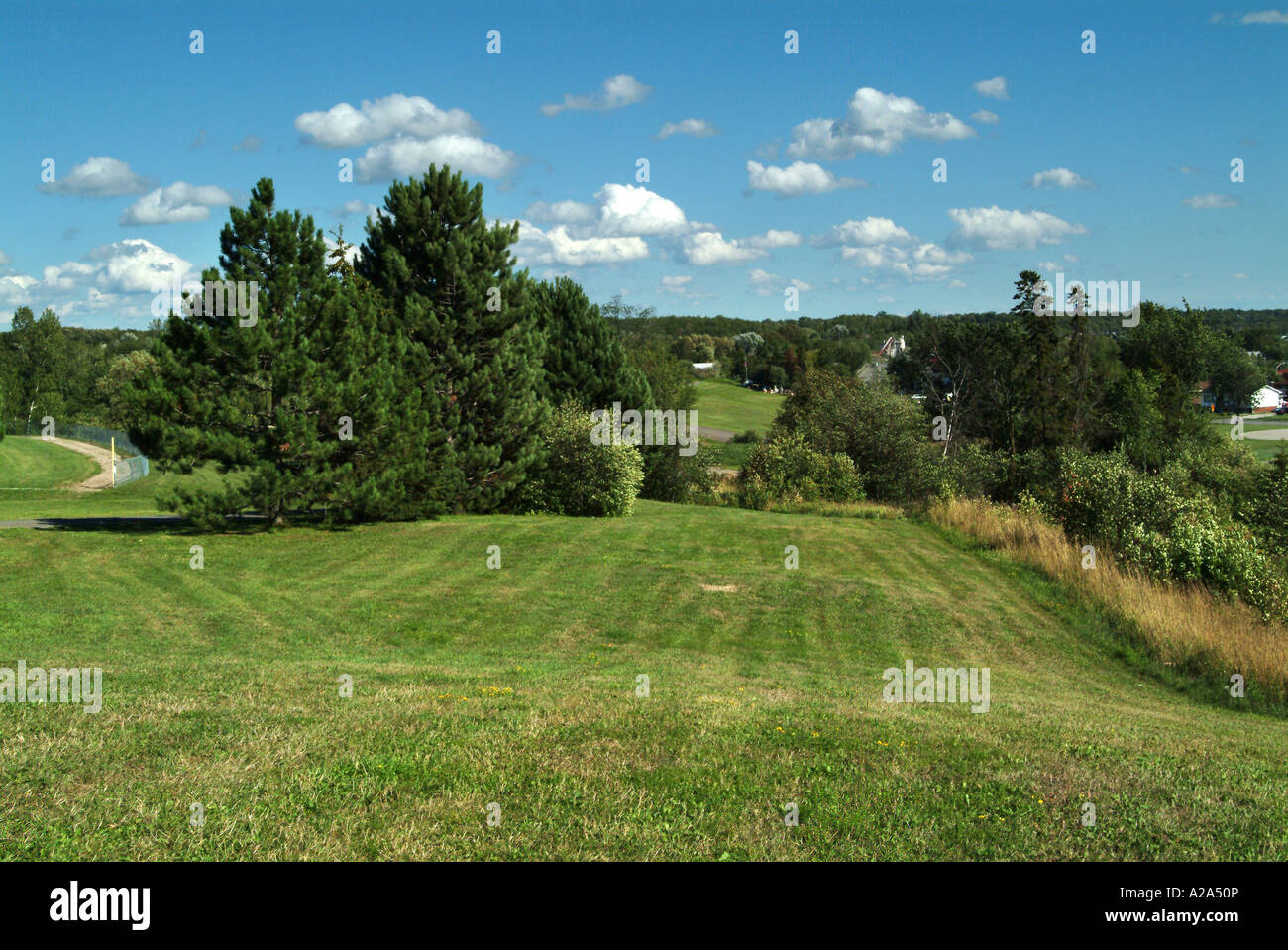 Autumn Leaf Leaves sky sunlight red green color colorful tree trees ...