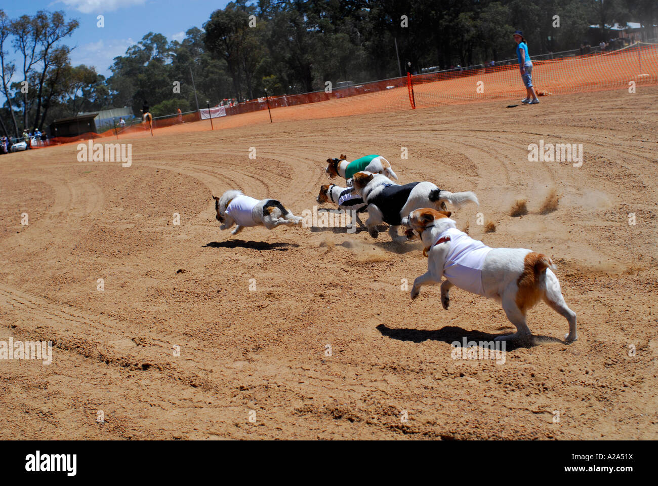 Scramble racing hi-res stock photography and images - Alamy