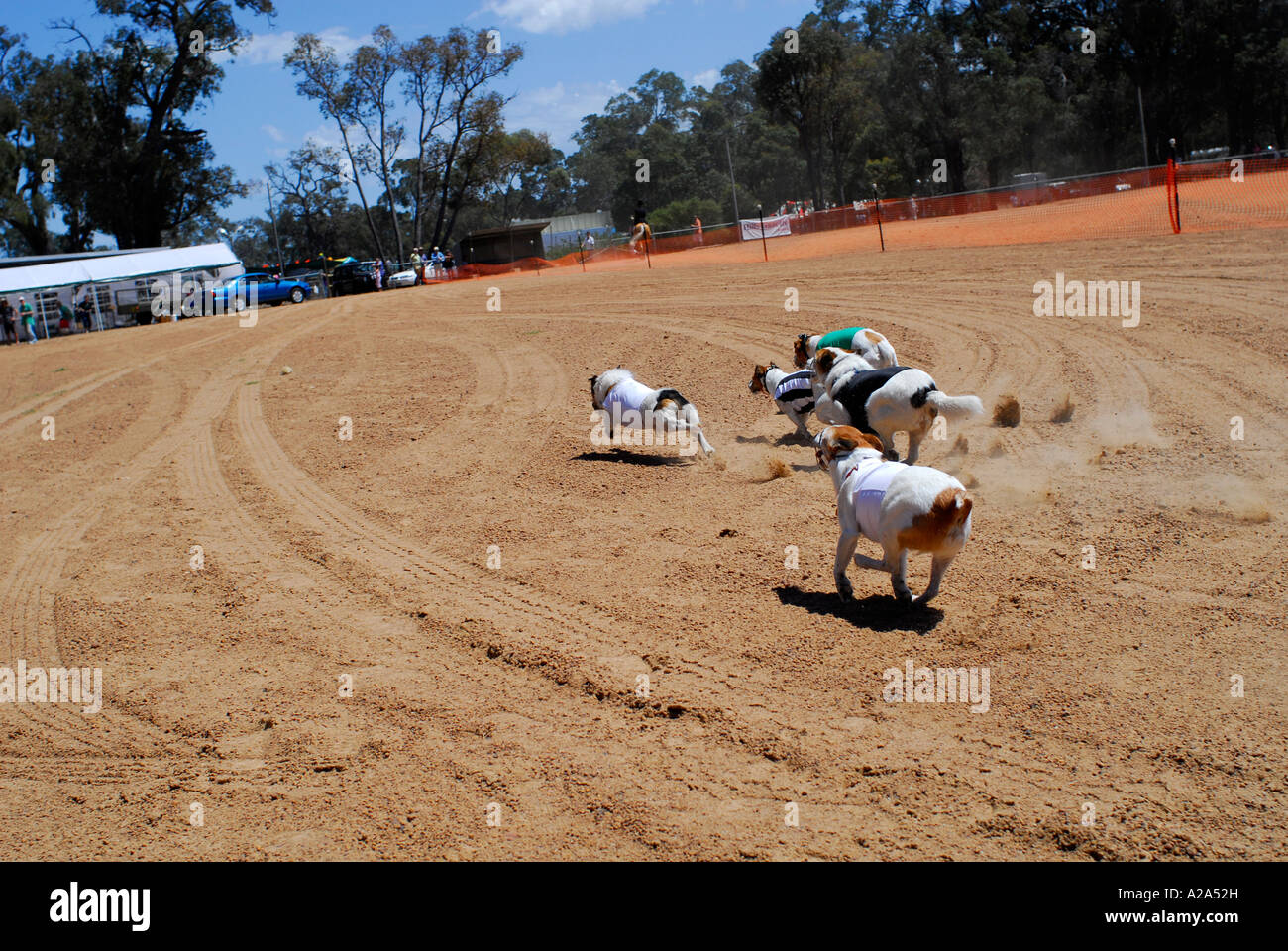Scramble Racing Stock Photos & Scramble Racing Stock Images - Alamy