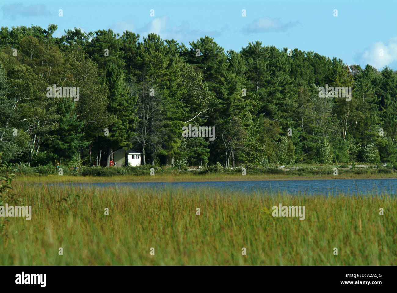 River Ste. Mary River Sault Ste.Marie soo ssm Autumn blue sky cloud ...