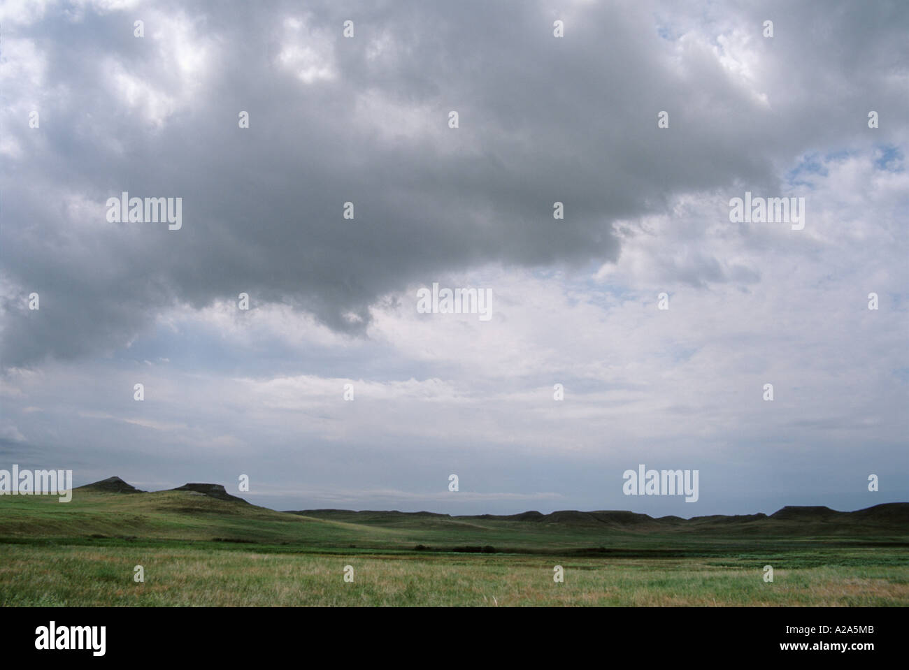 Prairie agate hi-res stock photography and images - Alamy