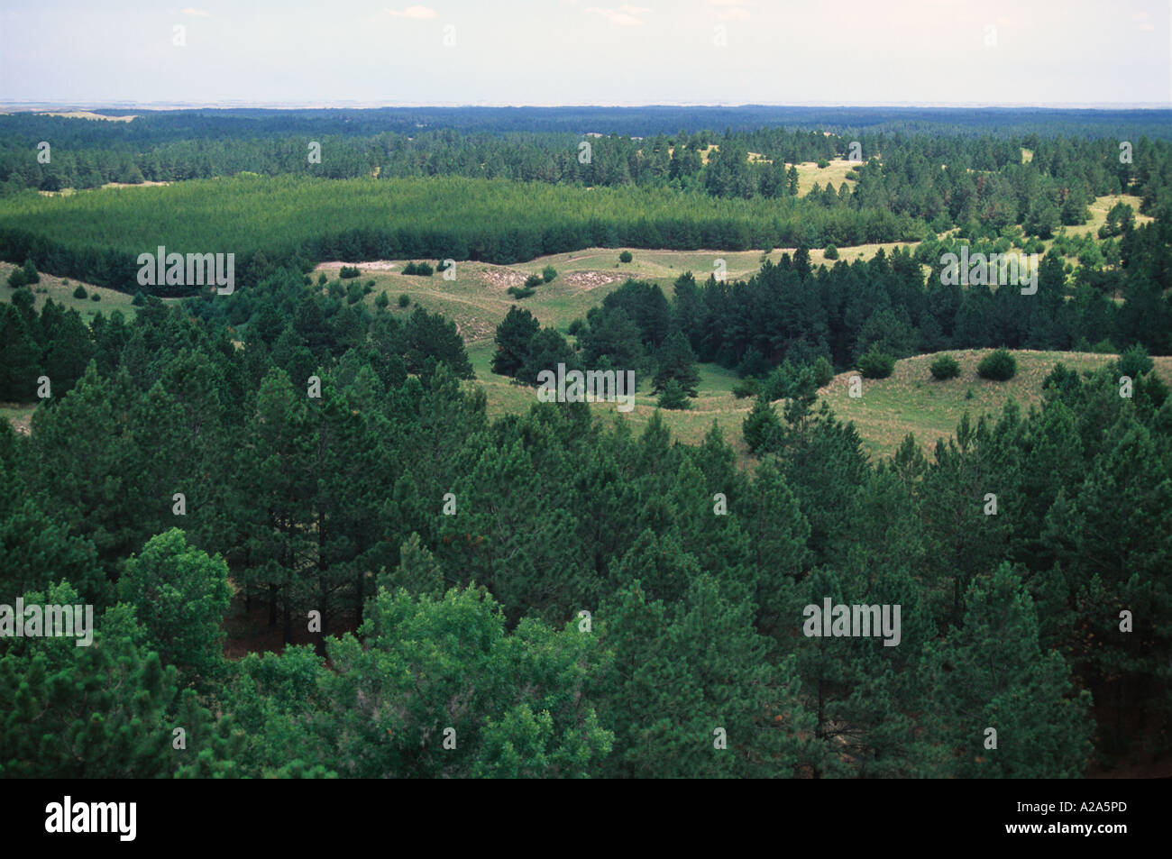 Nebraska national forest hi-res stock photography and images - Alamy