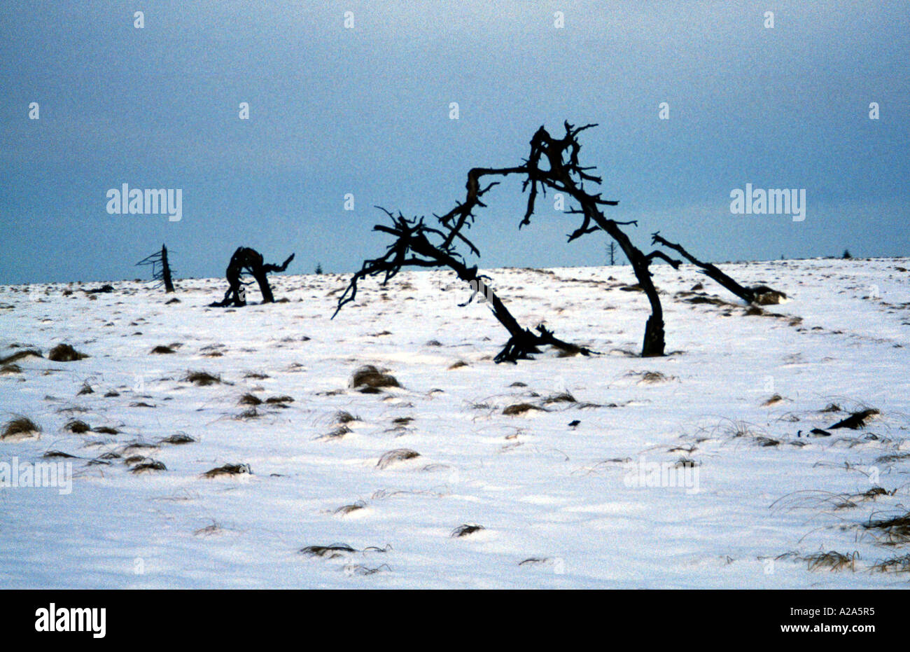 A long time being alone together Stock Photo - Alamy
