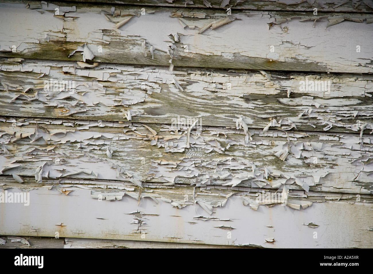 Paint peeling off the side of a building Stock Photo - Alamy