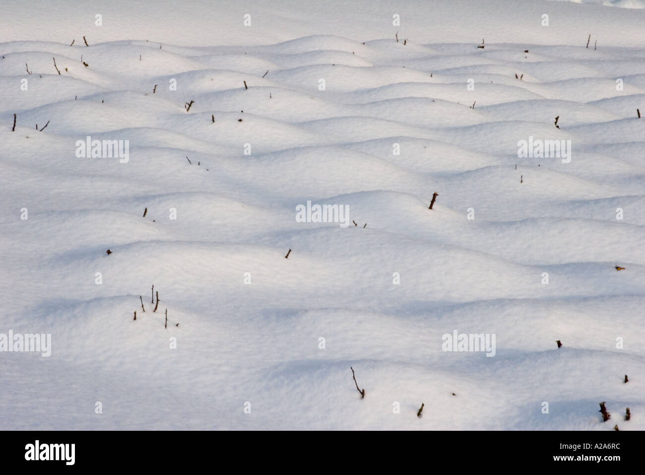 Curvy Snow Bumps Stock Photo - Alamy