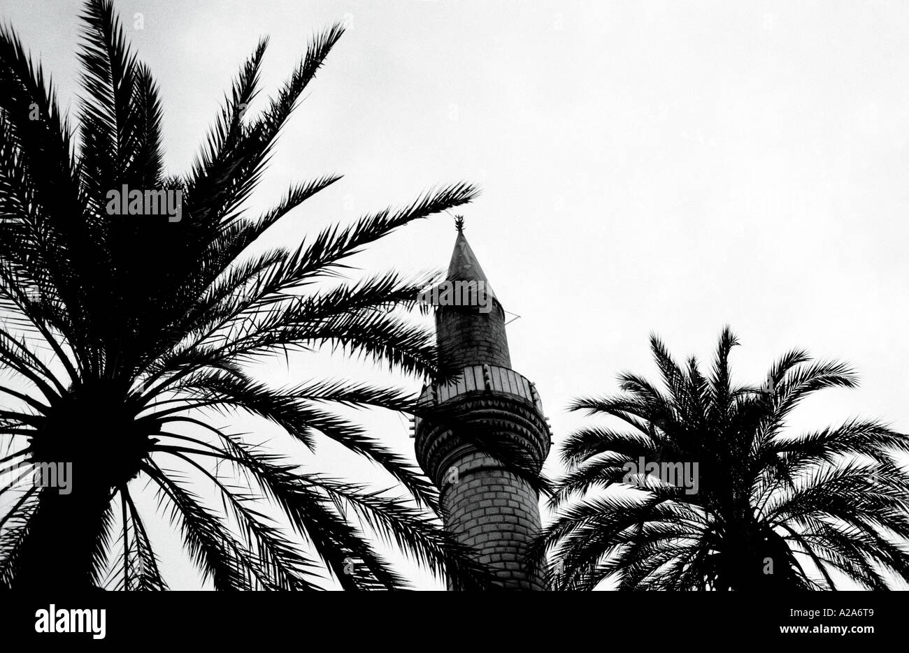 A mosque near palm trees in Northern Cyprus Stock Photo - Alamy