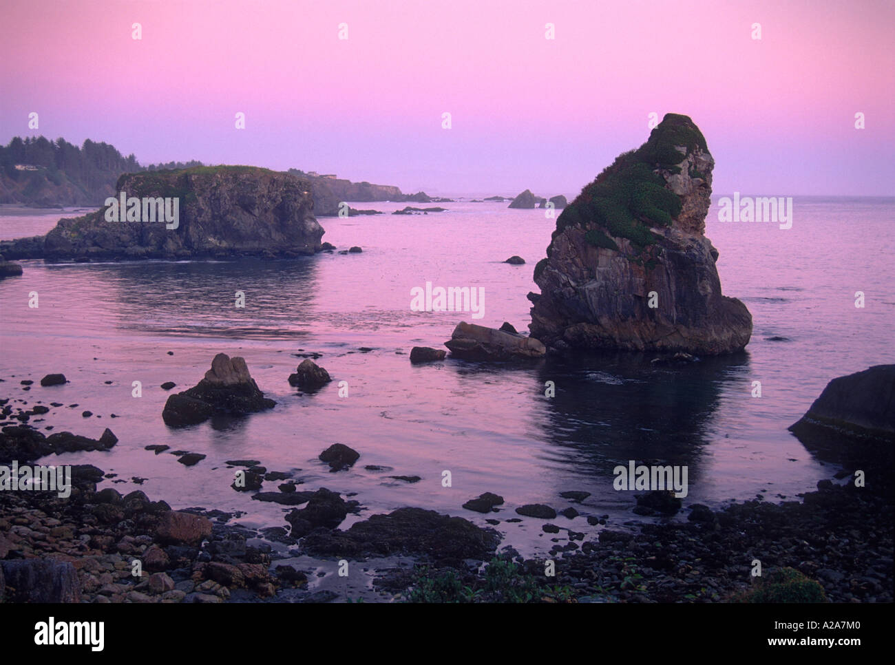 Harris Beach State Park at sunset on the Oregon coast Stock Photo - Alamy