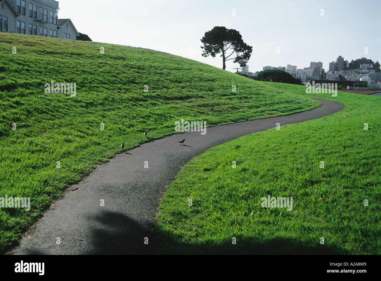 Curving path near Fort Mason in San Francisco, California Stock Photo ...