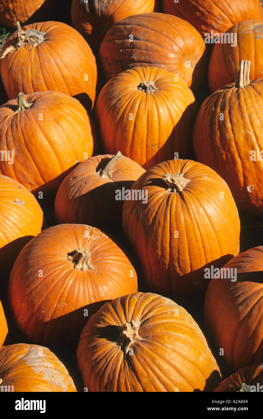 Cider mill hi-res stock photography and images - Alamy