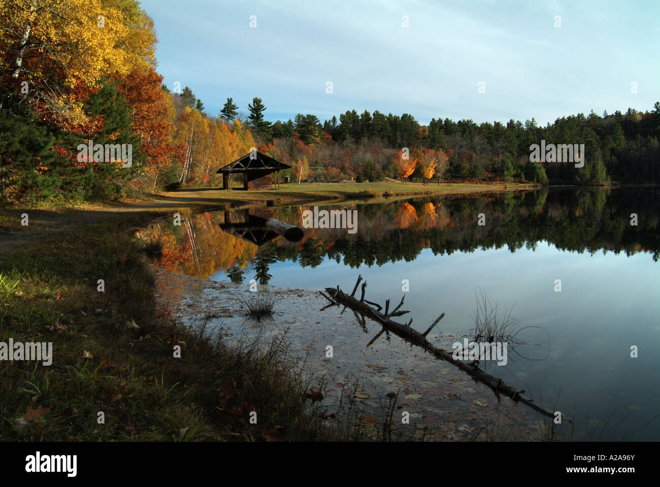 Autumn Leaf Leaves sky sunlight red green color colorful tree trees ...