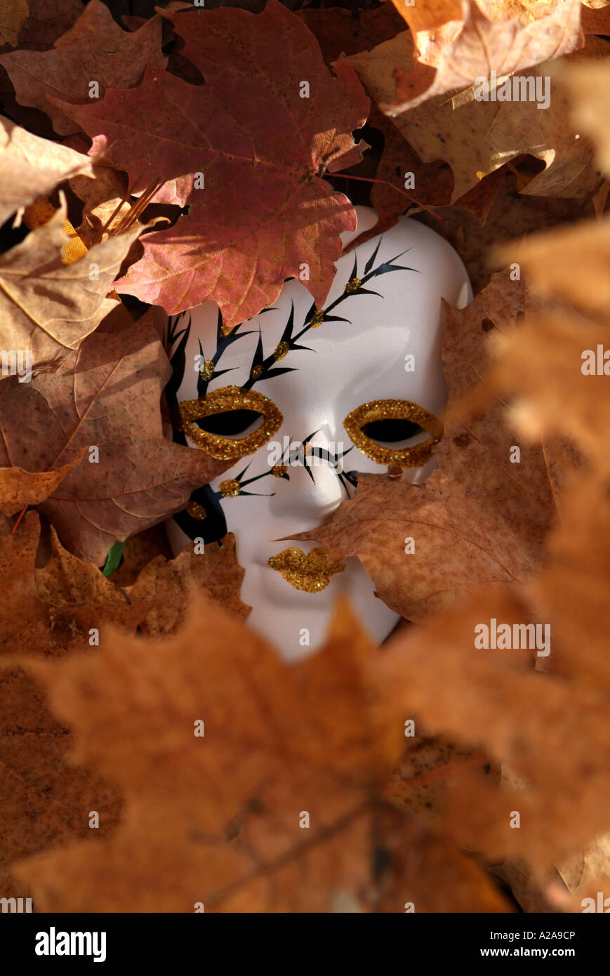 A mask covered by leaves Stock Photo - Alamy