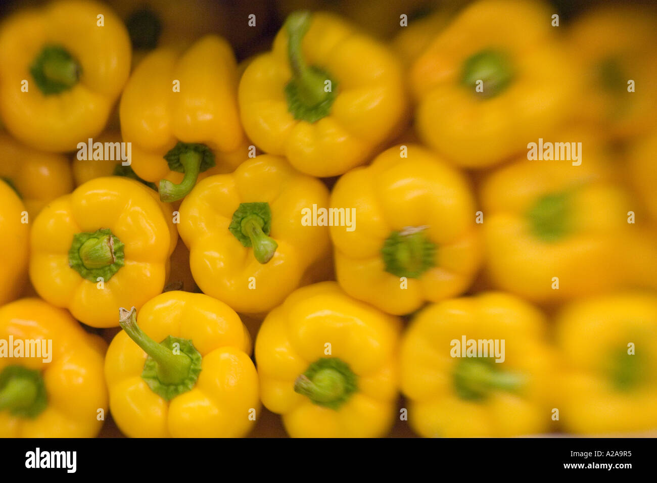 An inviting display of fresh bell peppers for sale at a market Stock ...