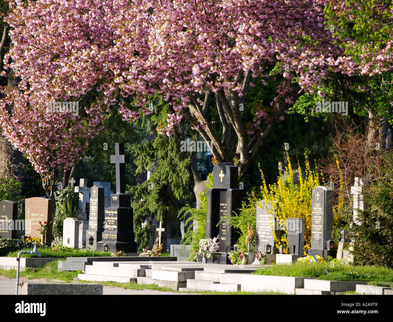 Vienna, central cemetery Stock Photo - Alamy