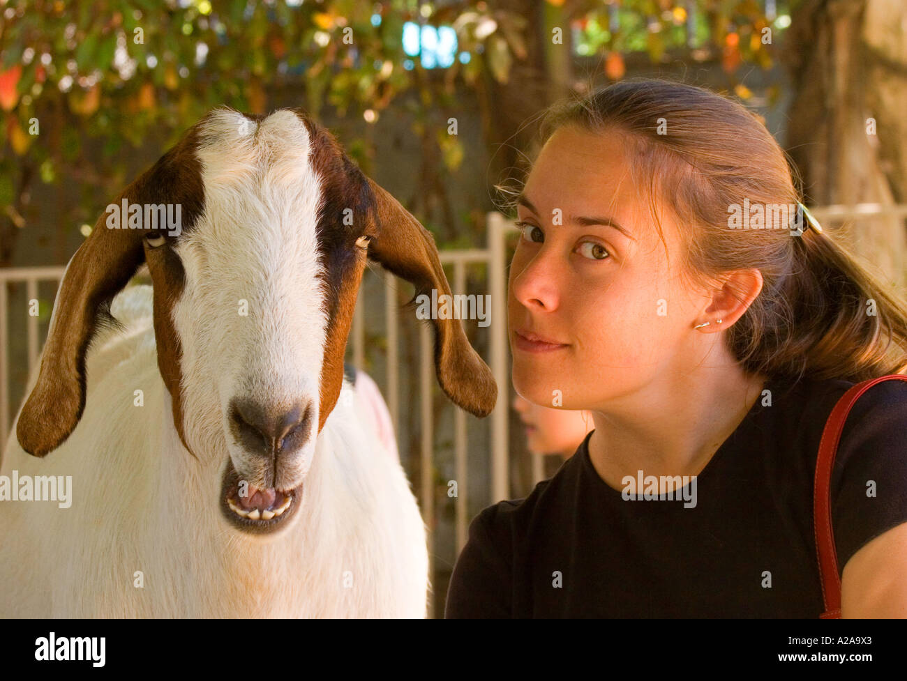 A pretty young woman and a goat sitting side by side Stock Photo - Alamy