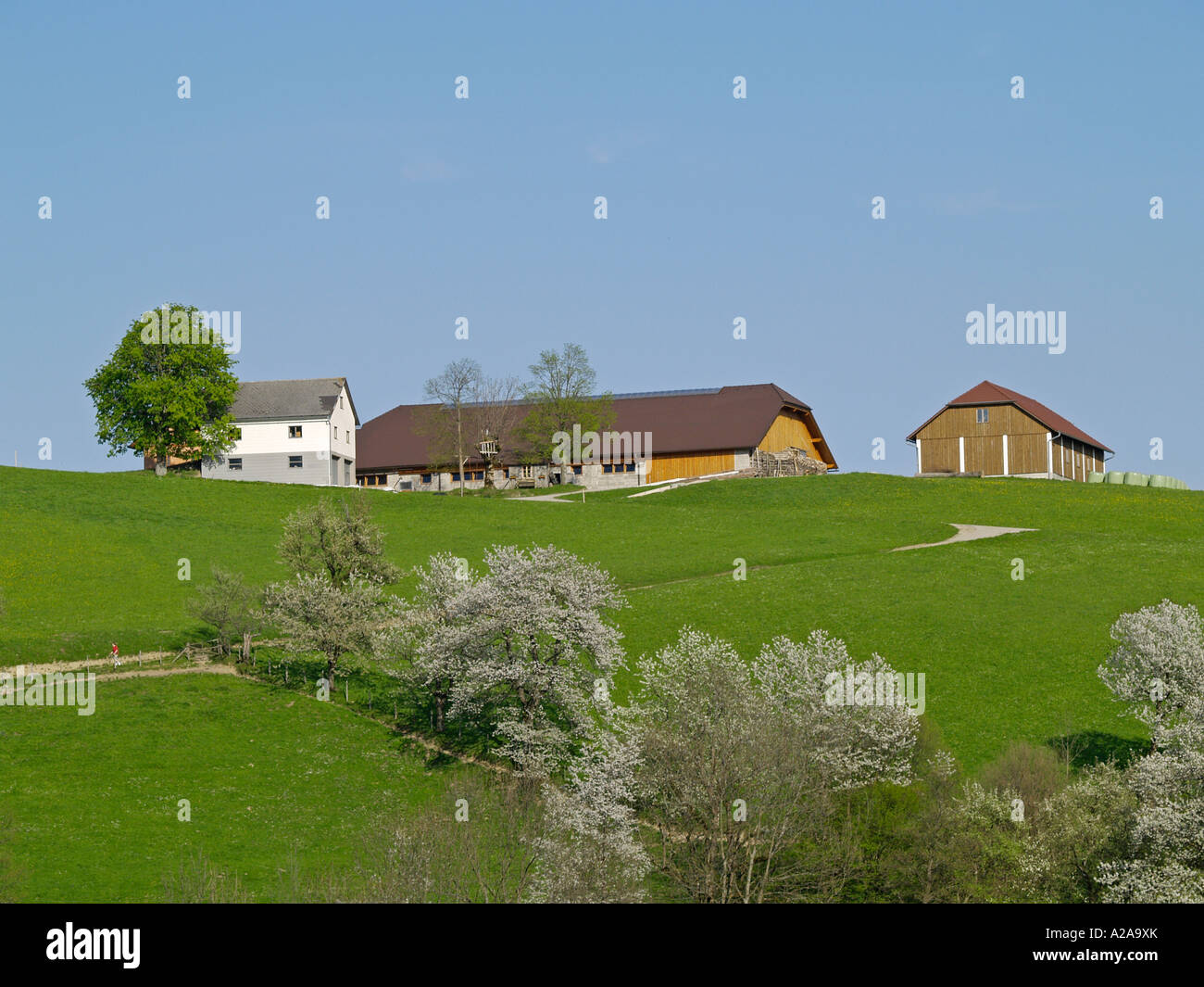 farm on a hill Stock Photo - Alamy