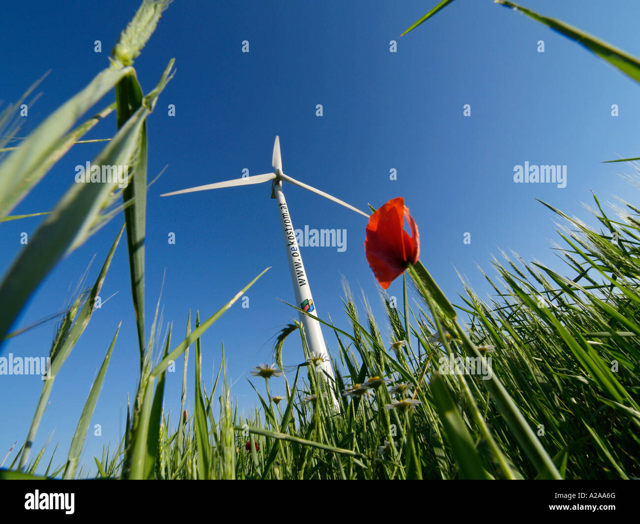 windpark Parndorf Austria wind wheel red corn poppy Stock Photo - Alamy