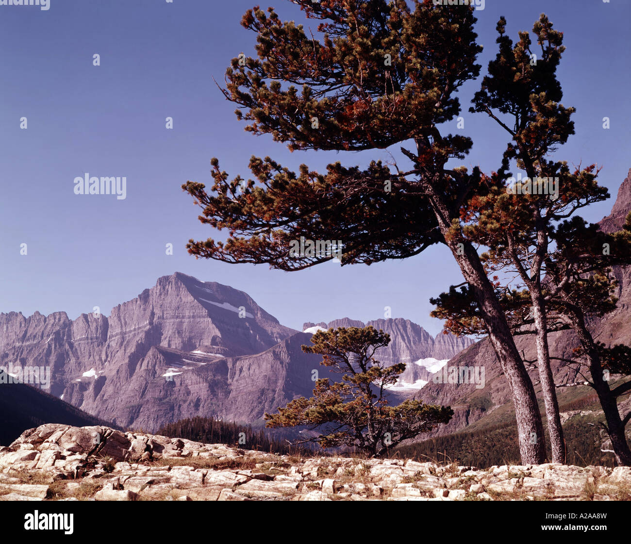 Mount Gould dominates the landscape in the Swiftcurrent Lake area of ...