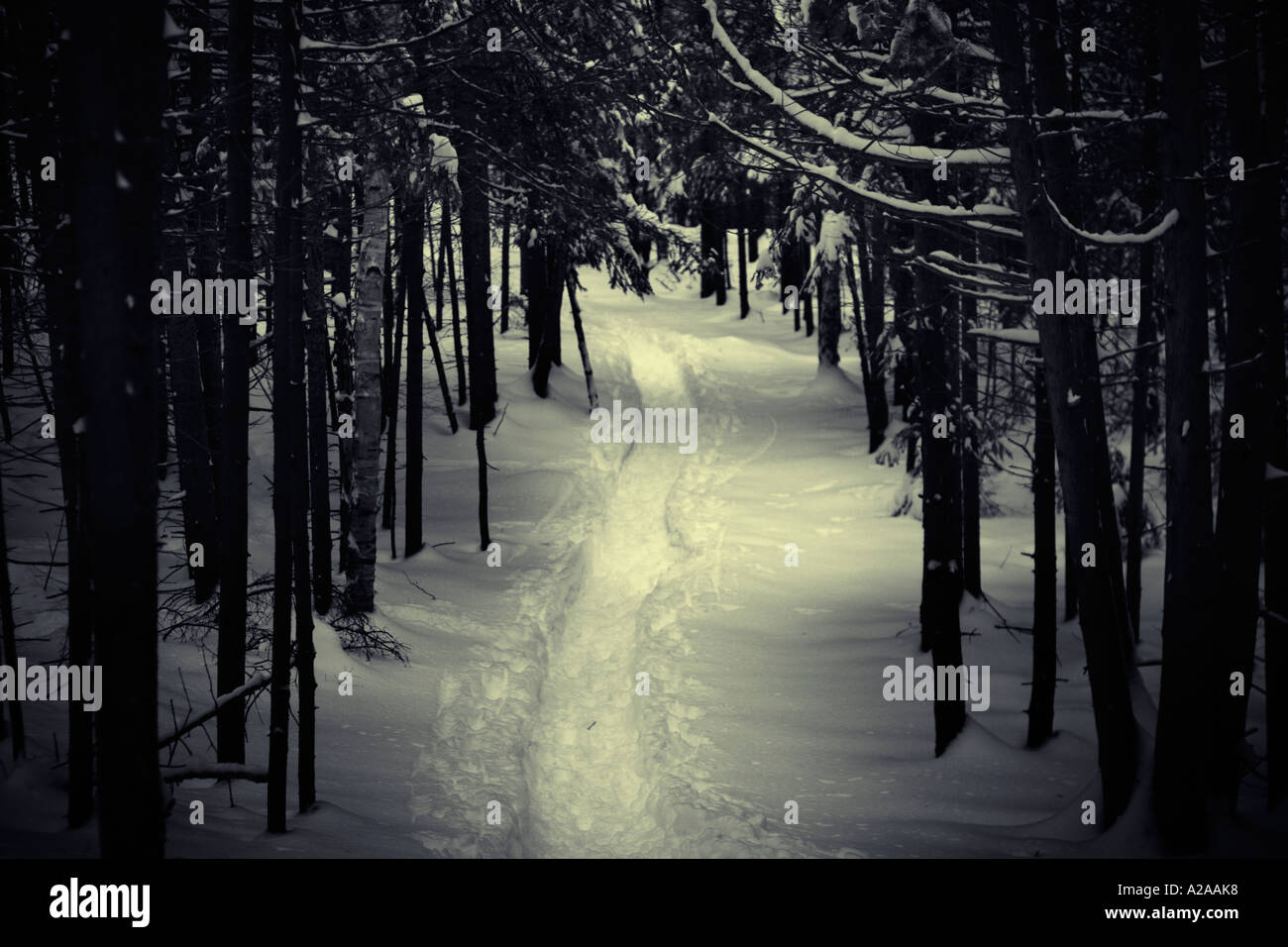 Back country ski track hi-res stock photography and images - Alamy