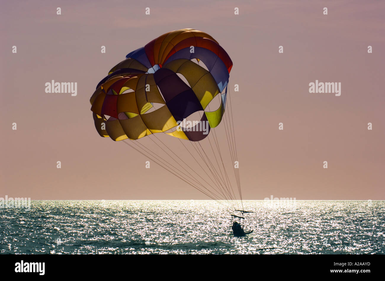 Paragliding in Naples, Florida Stock Photo - Alamy