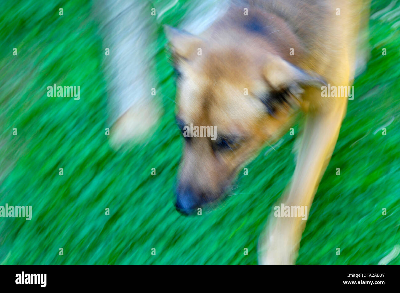 Move dynamic hi-res stock photography and images - Alamy