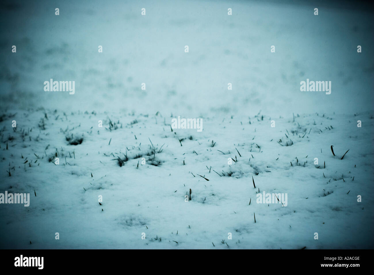 snow on grass Stock Photo - Alamy