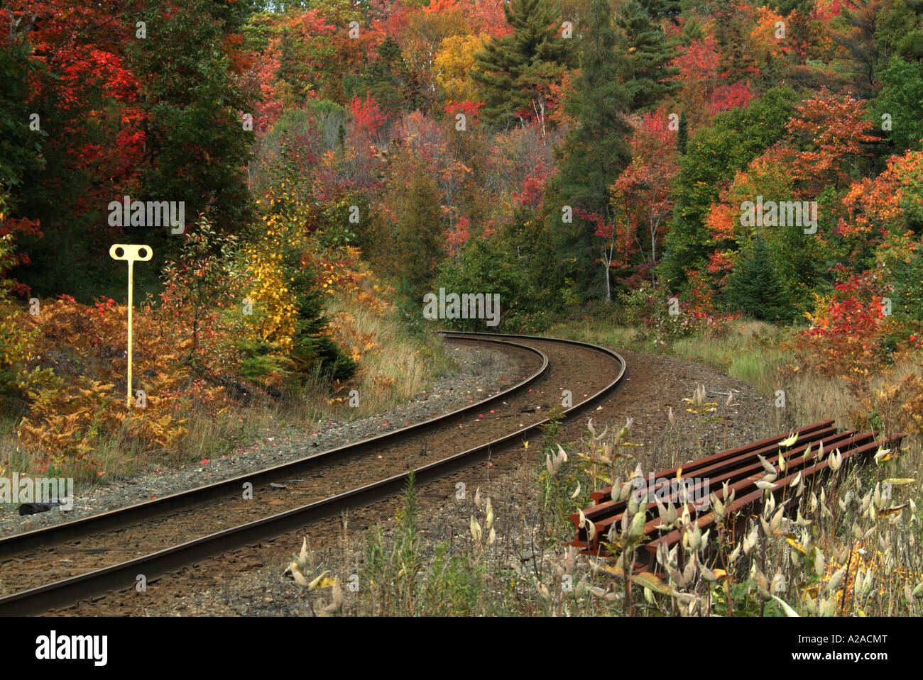 A railroad go through the forest Stock Photo - Alamy