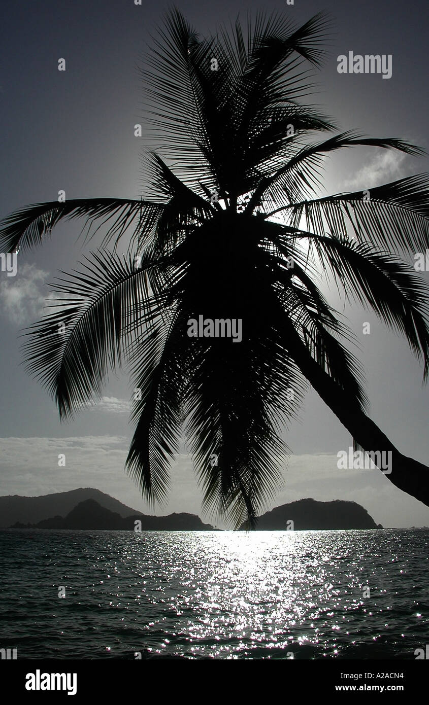 Tabago hi-res stock photography and images - Alamy