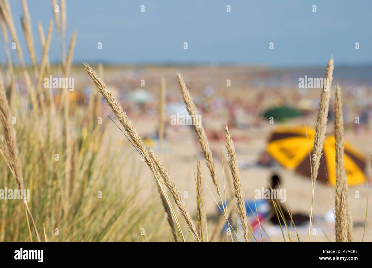 Ile de Re, France Stock Photo - Alamy