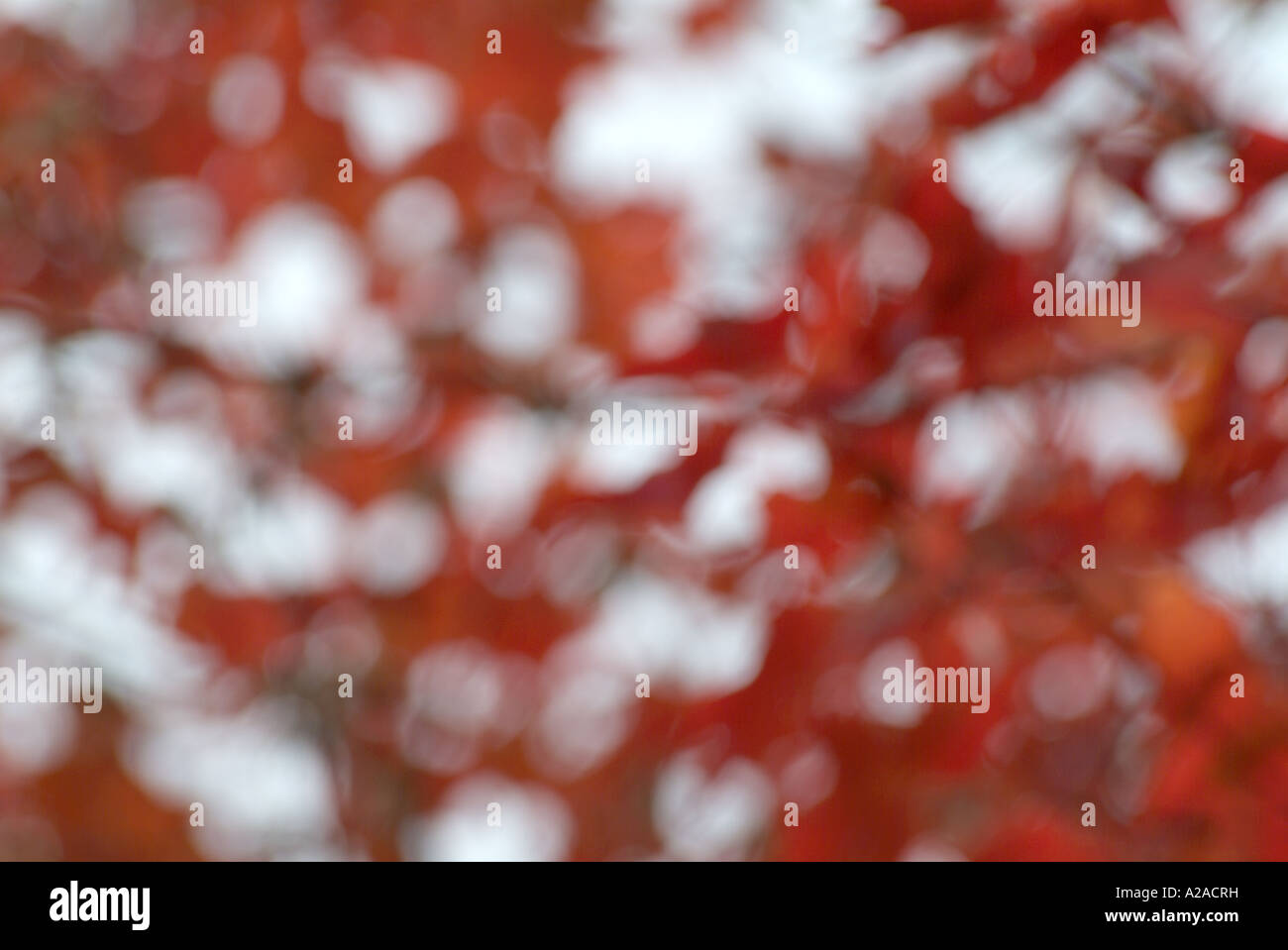 Autumn scenes in ontario hi-res stock photography and images - Alamy