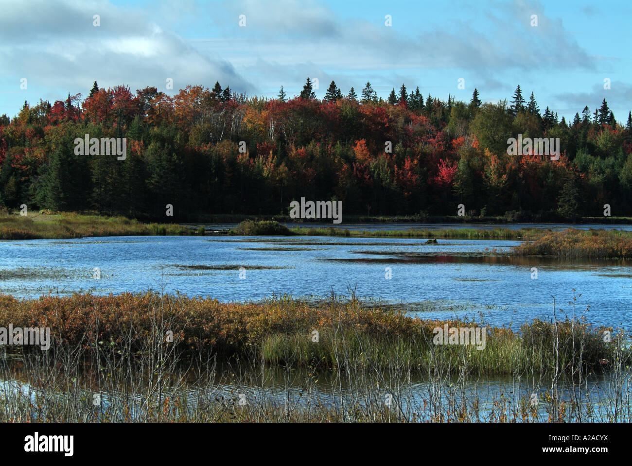 River Ste. Mary River Sault Ste.Marie soo ssm Autumn blue sky cloud ...