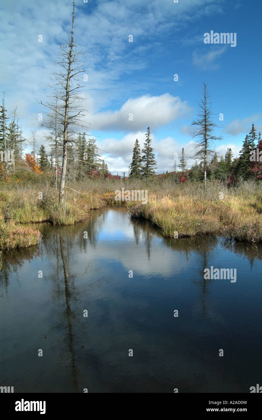 River Ste. Mary River Sault Ste.Marie soo ssm Autumn blue sky cloud ...