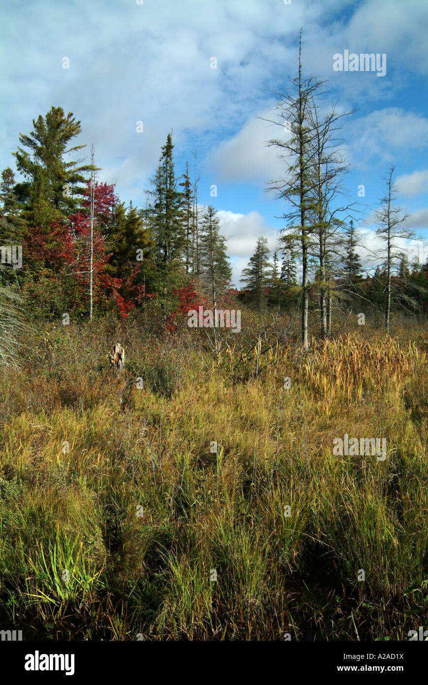 River Ste. Mary River Sault Ste.Marie soo ssm Autumn blue sky cloud ...