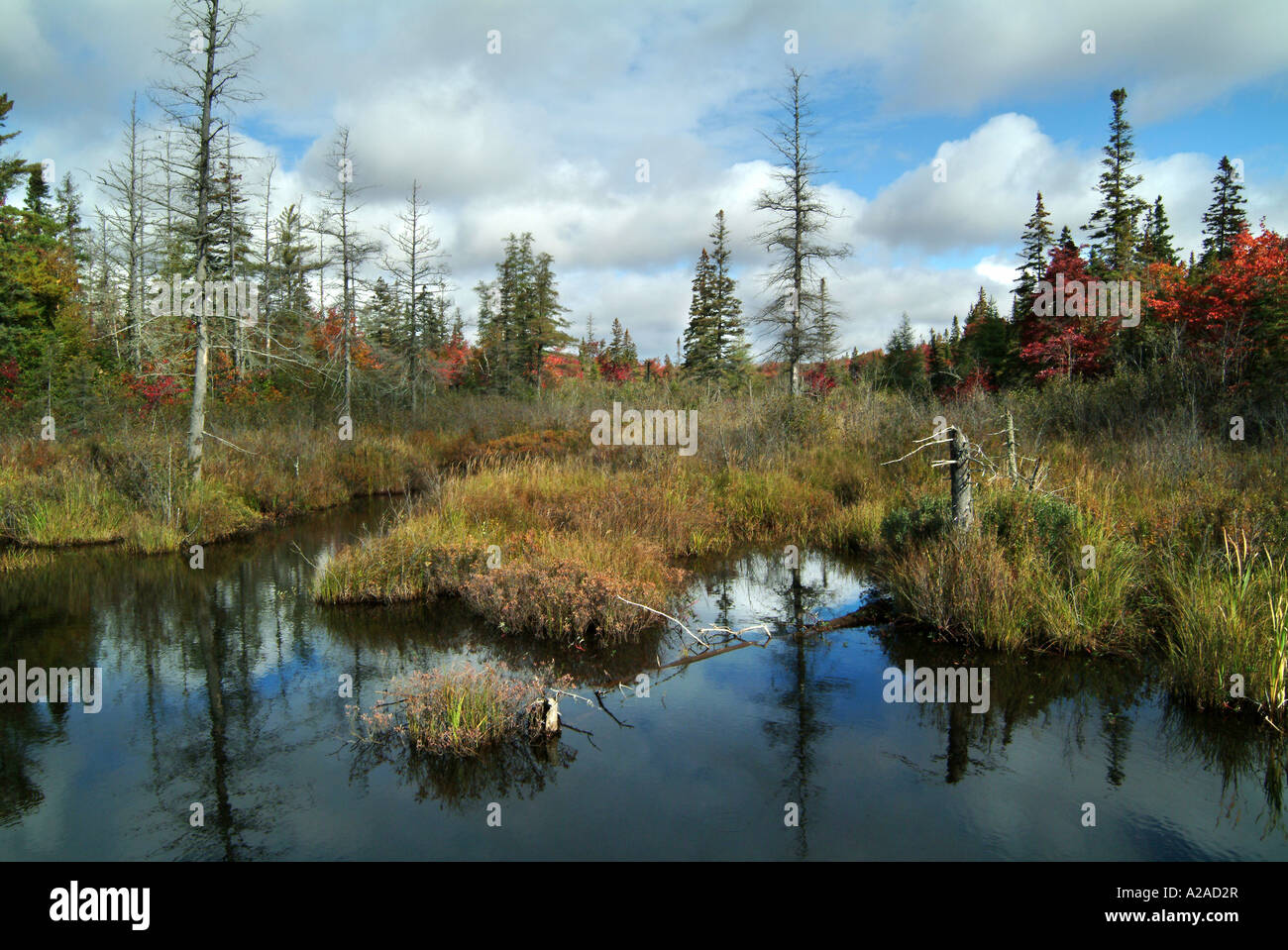 River Ste. Mary River Sault Ste.Marie soo ssm Autumn blue sky cloud ...