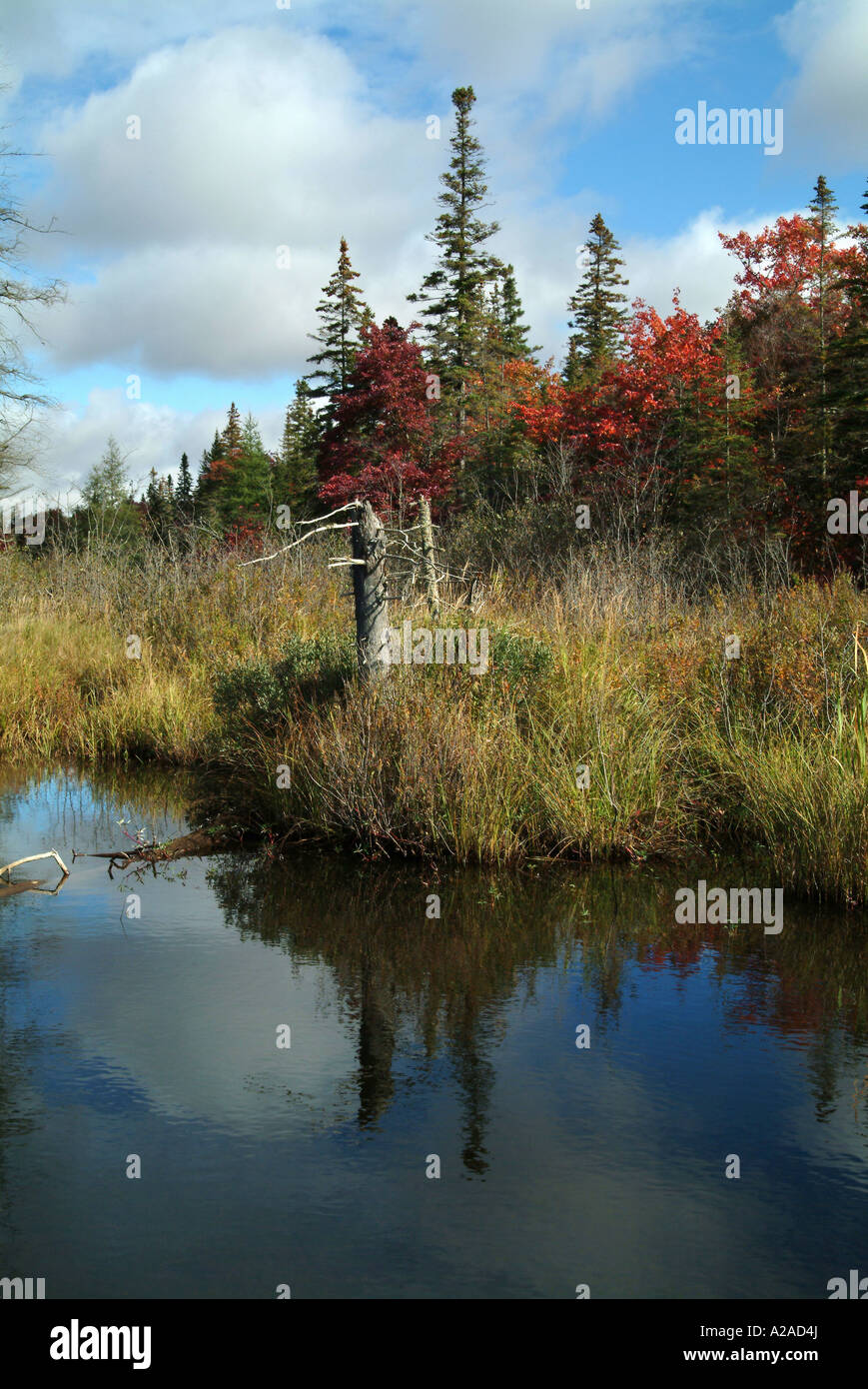 River Ste. Mary River Sault Ste.Marie soo ssm Autumn blue sky cloud ...
