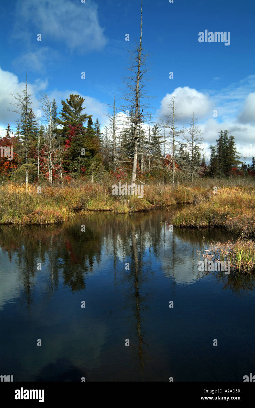 River Ste. Mary River Sault Ste.Marie soo ssm Autumn blue sky cloud ...