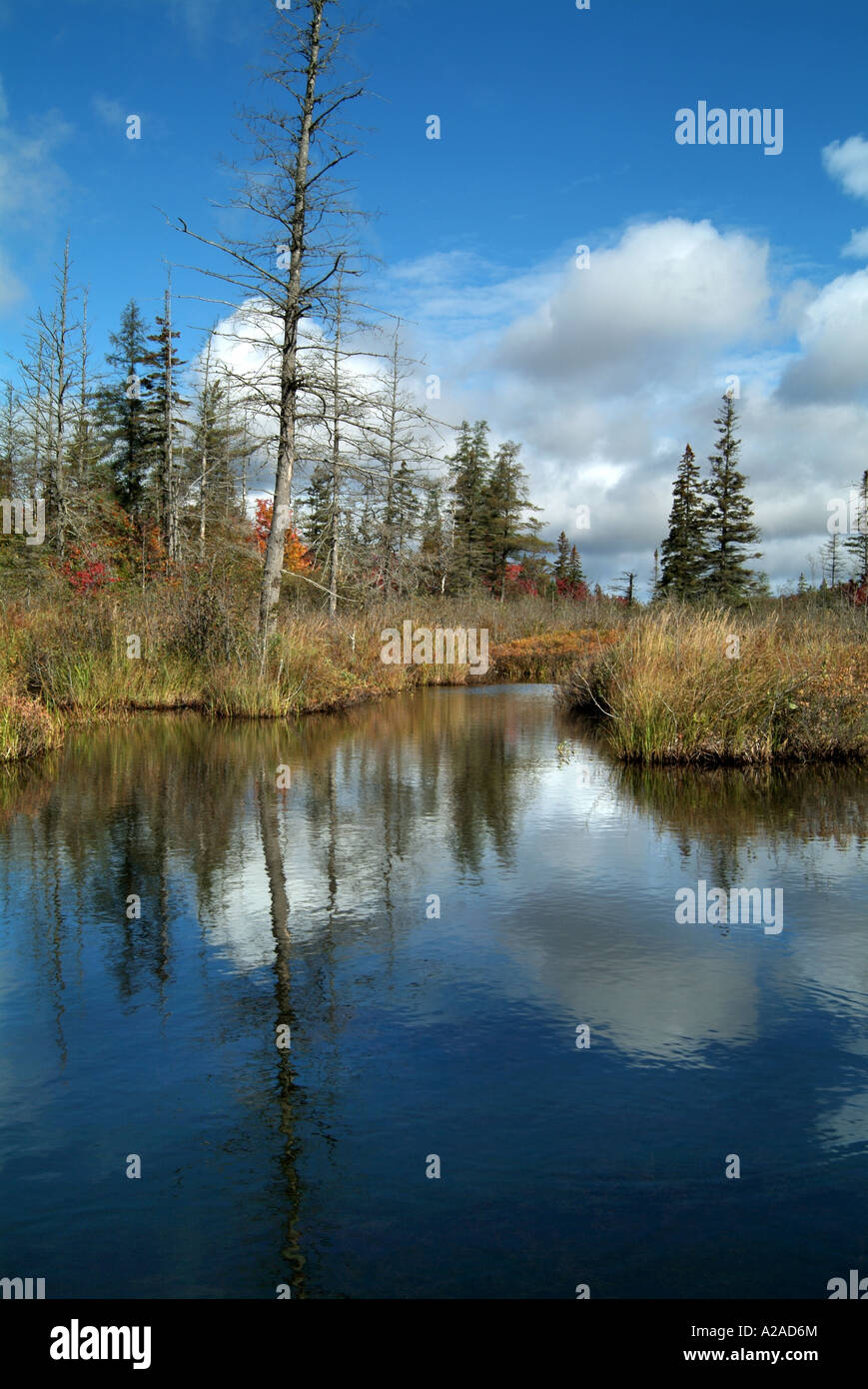 River Ste. Mary River Sault Ste.Marie soo ssm Autumn blue sky cloud ...